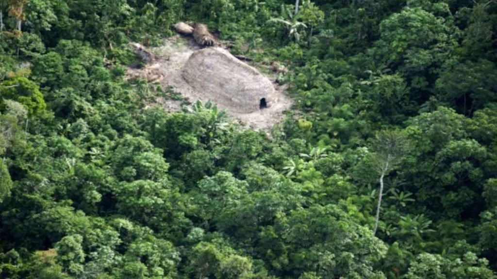 Vale do Javari National Park - Eduvast.com