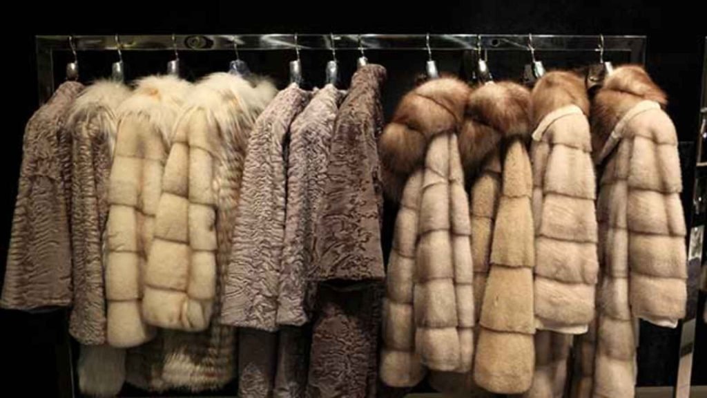 Fur-Free Friday 2023: Date, History and Significance - Eduvast.com