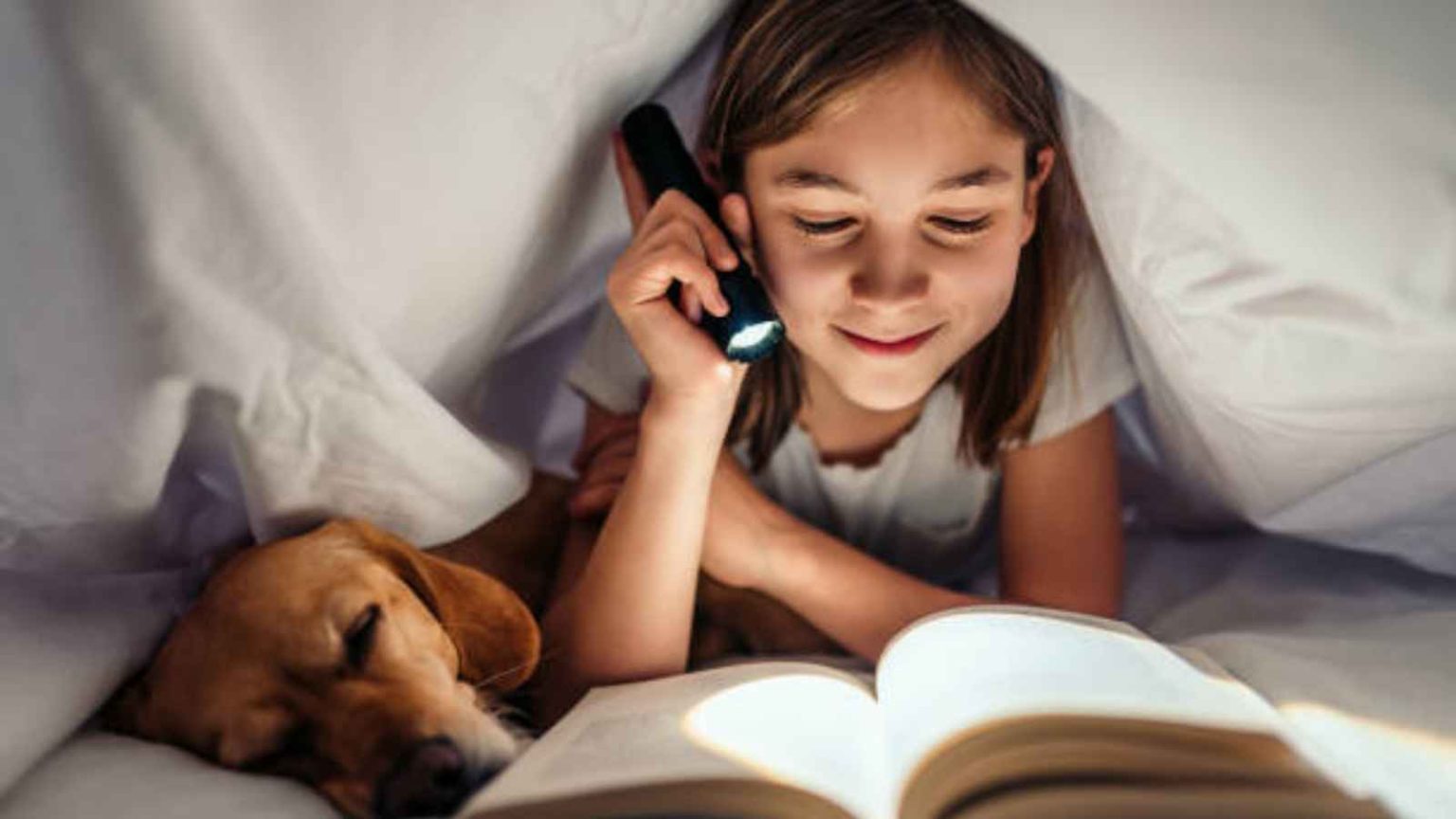 National Flashlight Day: Fun Facts about Flashlights - Eduvast.com