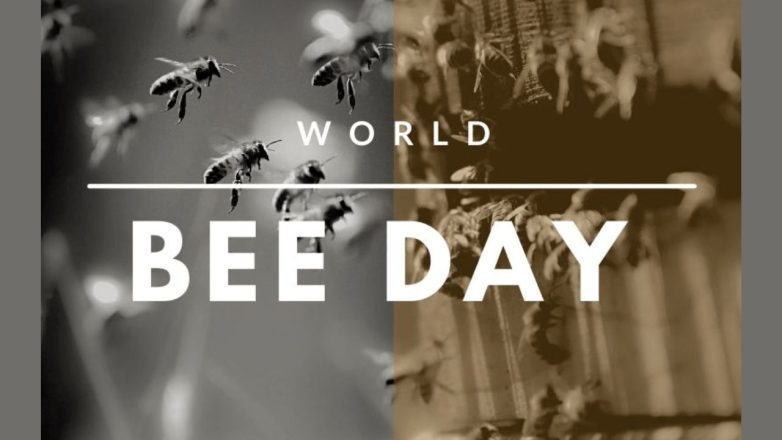 World Bee Day Greetings, Messages, Quotes, and Slogans - Eduvast.com