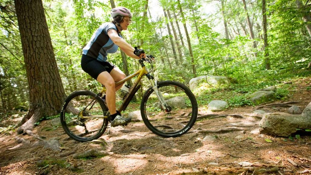 National Trails Day 2023: Date, History, Facts about National Trails ...