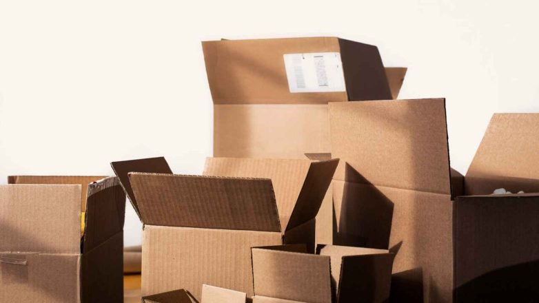 International Box Day 2023: Date, History, Facts, Activities - Eduvast.com