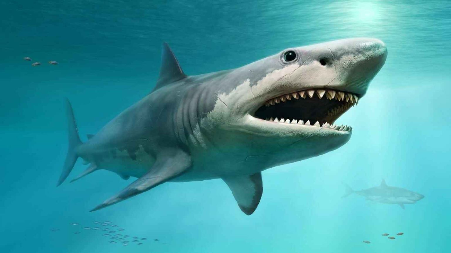 National Megalodon Day 2023: Date, History, Facts, Activities - Eduvast.com