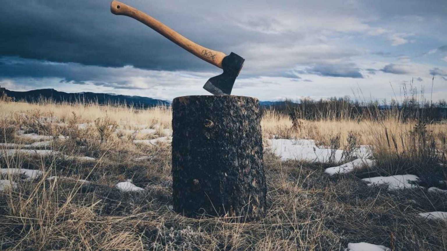 International Axe Throwing Day 2023: Date, History, Facts, Activities ...
