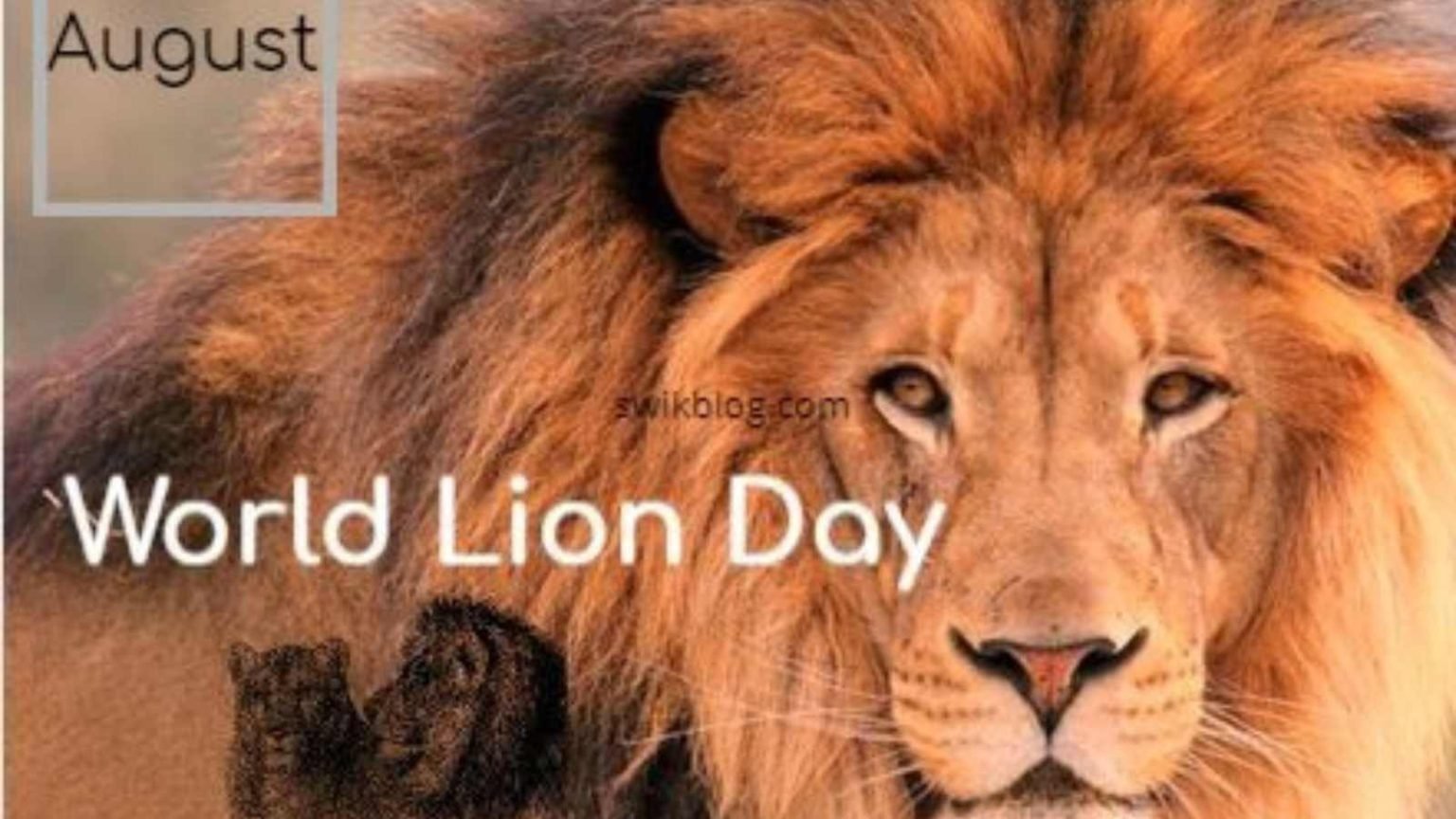 World Lion Day Wishes, Quotes and Slogans - Eduvast.com