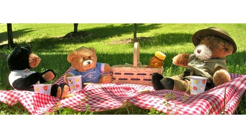 Teddy Bear Picnic Day 2023: Date, History, Facts about Teddy Bears ...