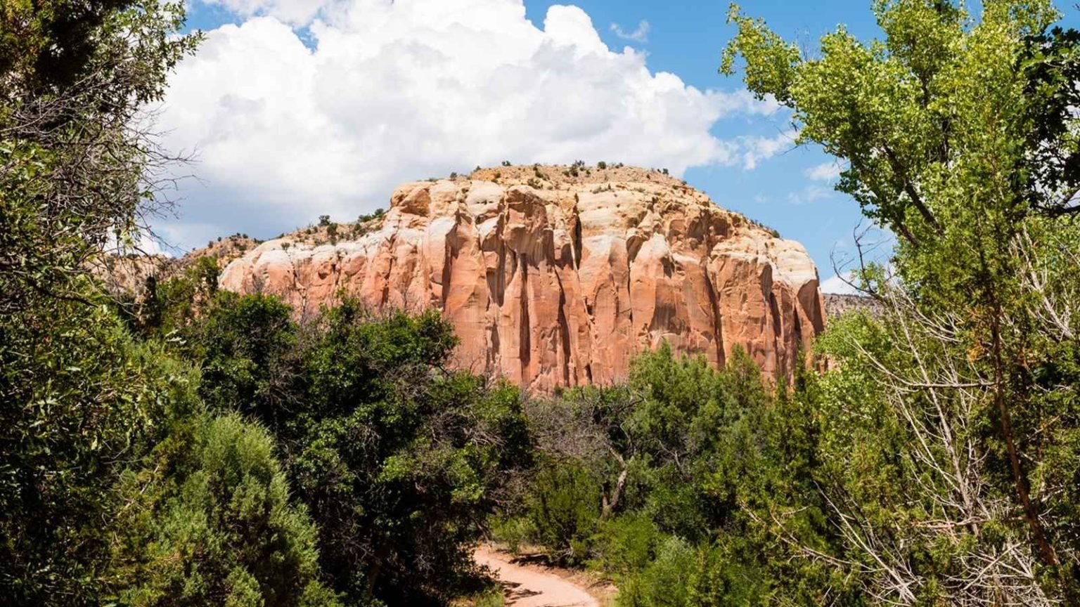 National Park Service Founders Day 2023: Date, History, Facts about ...