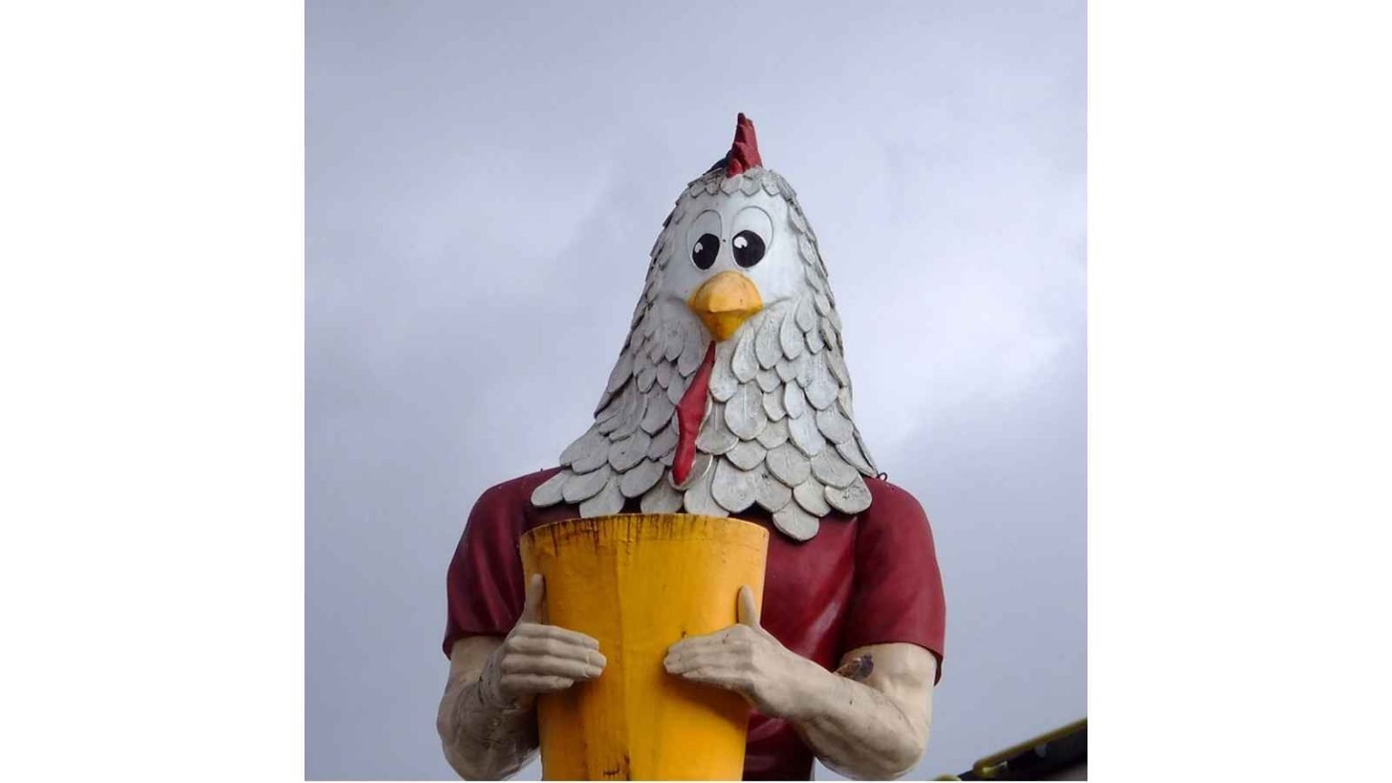 Chicken Boy Day in U.S. 2023: Date, History, Facts about Chicken Boy ...