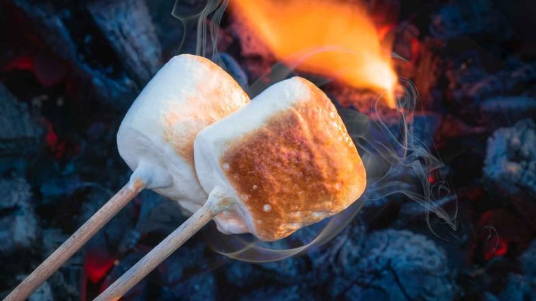 National Toasted Marshmallow Day 2023: Date, History, Facts about ...