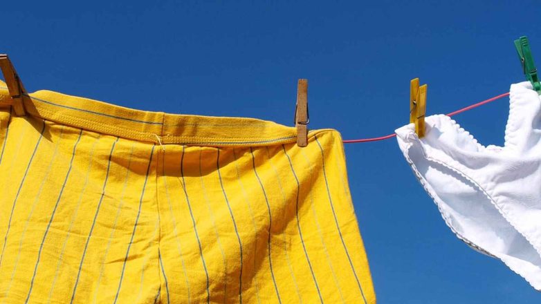 National Underwear Day 2023: Date, History, Facts, Activities - Eduvast.com