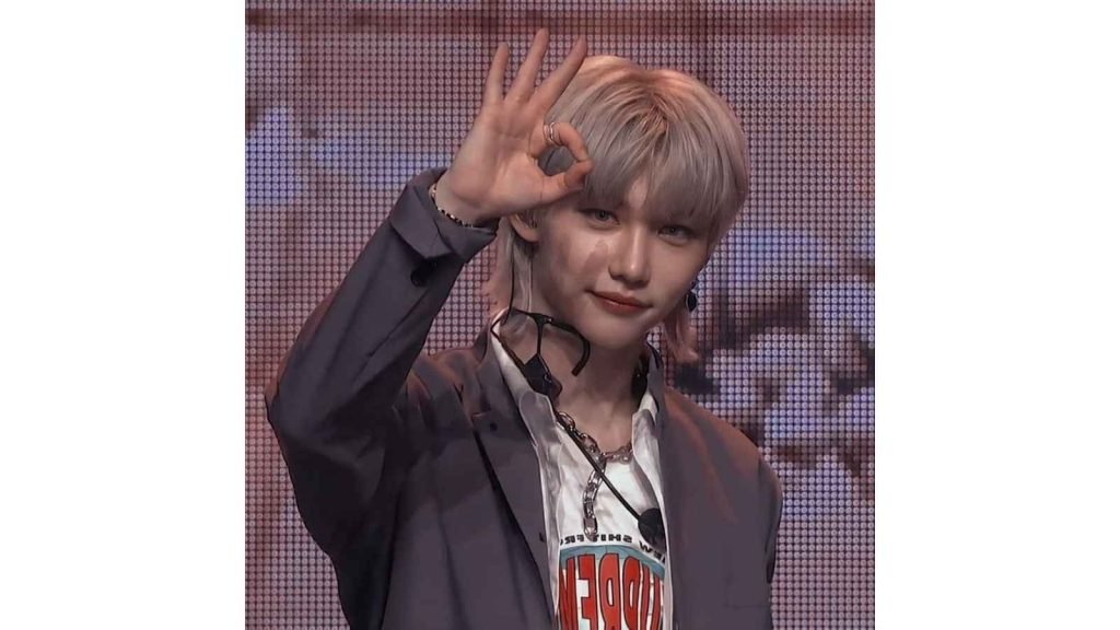 Lee Felix Biography: Age, Height, Birthday, Family, Net Worth - Eduvast.com