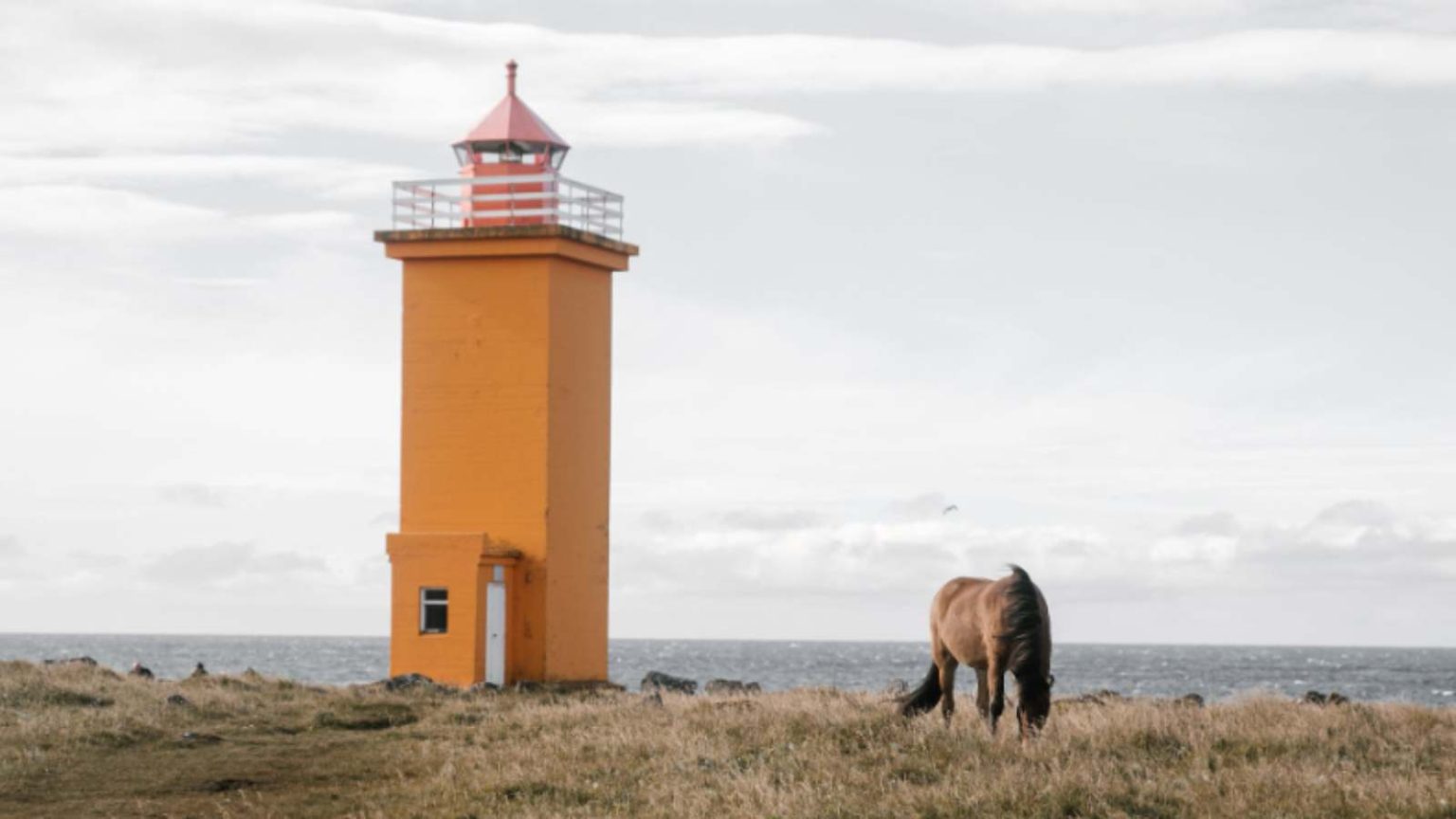 North Carolina Day Quotes, Messages and Wishes - Eduvast.com