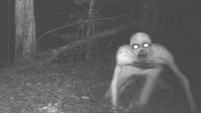 Skinwalker Encounter In Ohio School: Debunking Urban Legends - Eduvast.com