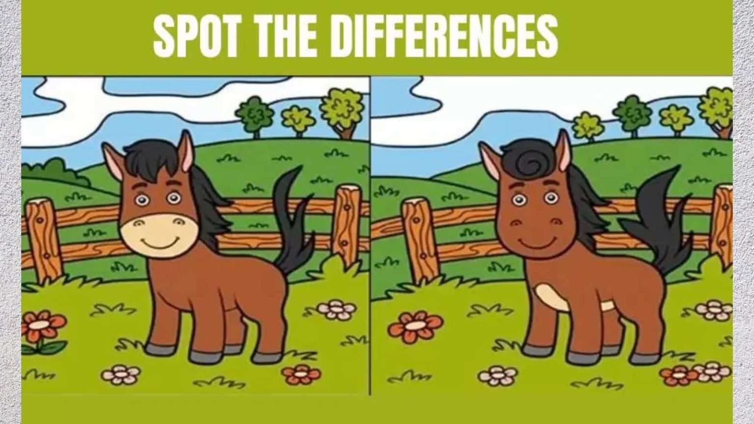 Visual Test: Find the 10 differences in less than 40 seconds! - Eduvast.com
