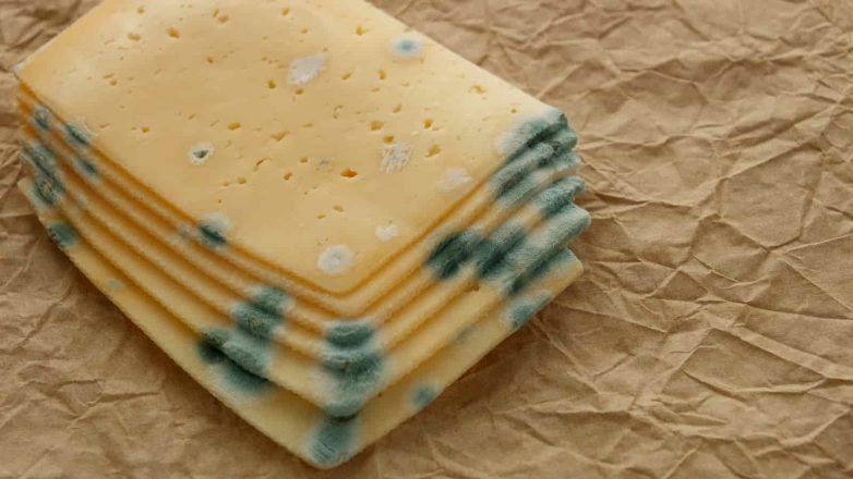 National Moldy Cheese Day Quotes, Wishes And Messages - Eduvast.com
