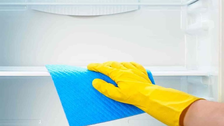 National Clean Out Your Fridge Day Quotes, Wishes And Messages ...