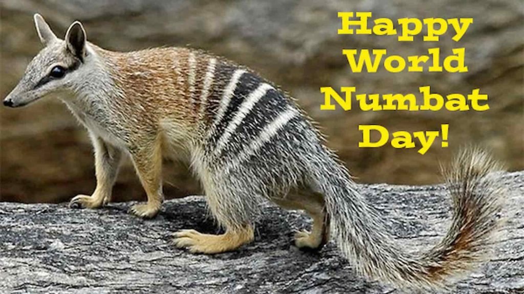 World Numbat Day Quotes, Wishes And Messages - Eduvast.com