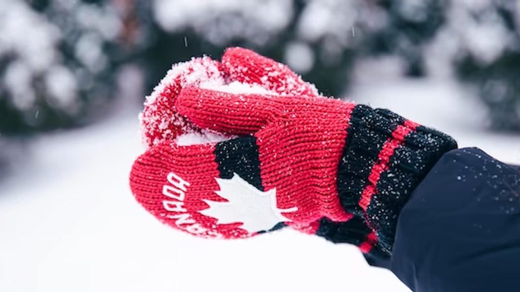 National Red Mitten Day 2023: Date, History, Importance, 5 Facts About ...