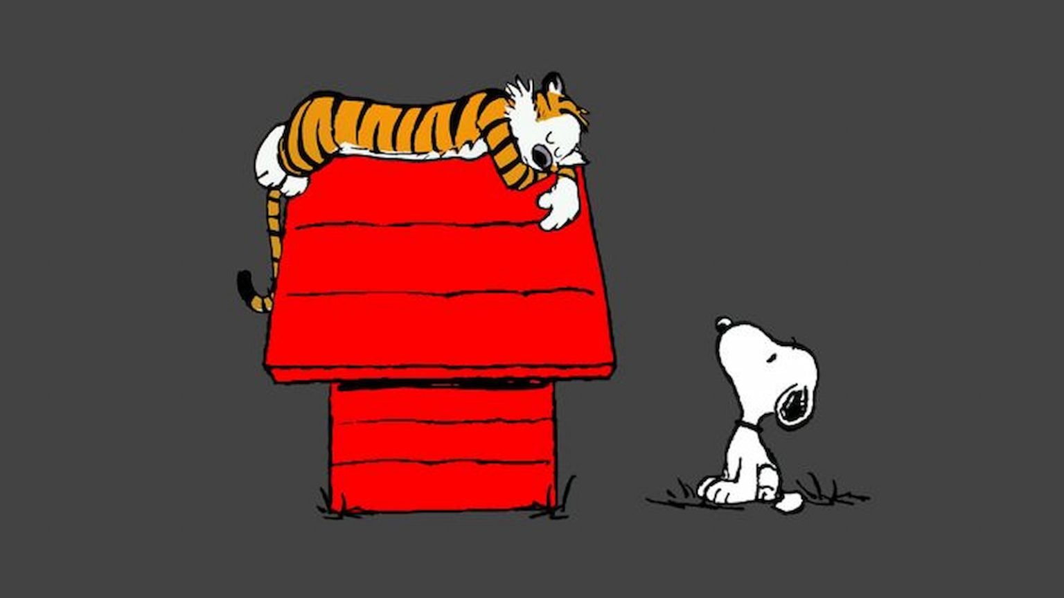 Snoopy Biography: Age, Height, Birthday, Career, Family, Personal Life ...