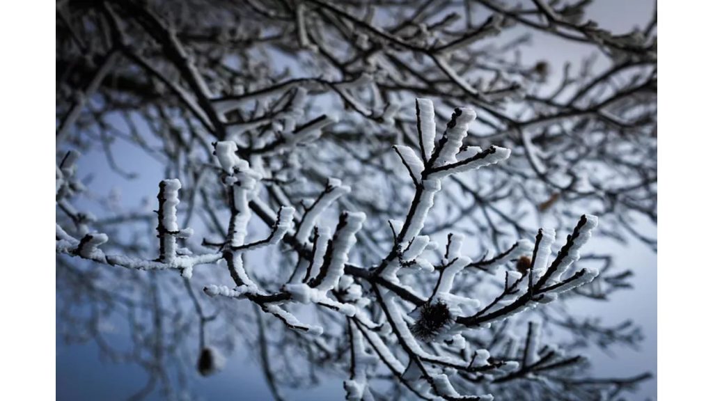 Winter Solstice Wonders: Exploring the Southern Hemisphere's Celestial ...