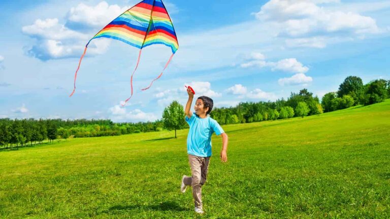 National Kite-Flying Day - February 8, 2024 - Eduvast.com