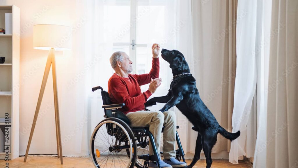 VA Priority Group 8: Who Qualifies and What Benefits They Can Still Get ...